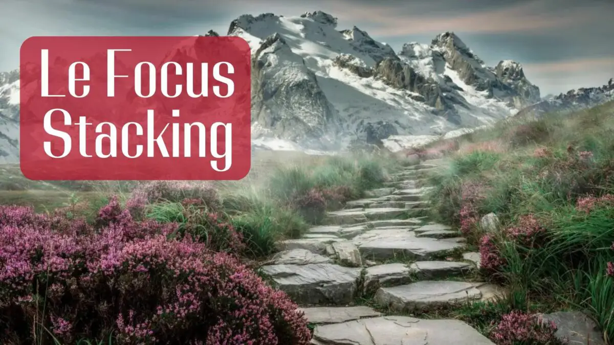 Comprendre et utiliser : le FOCUS STACKING - Print Your Life